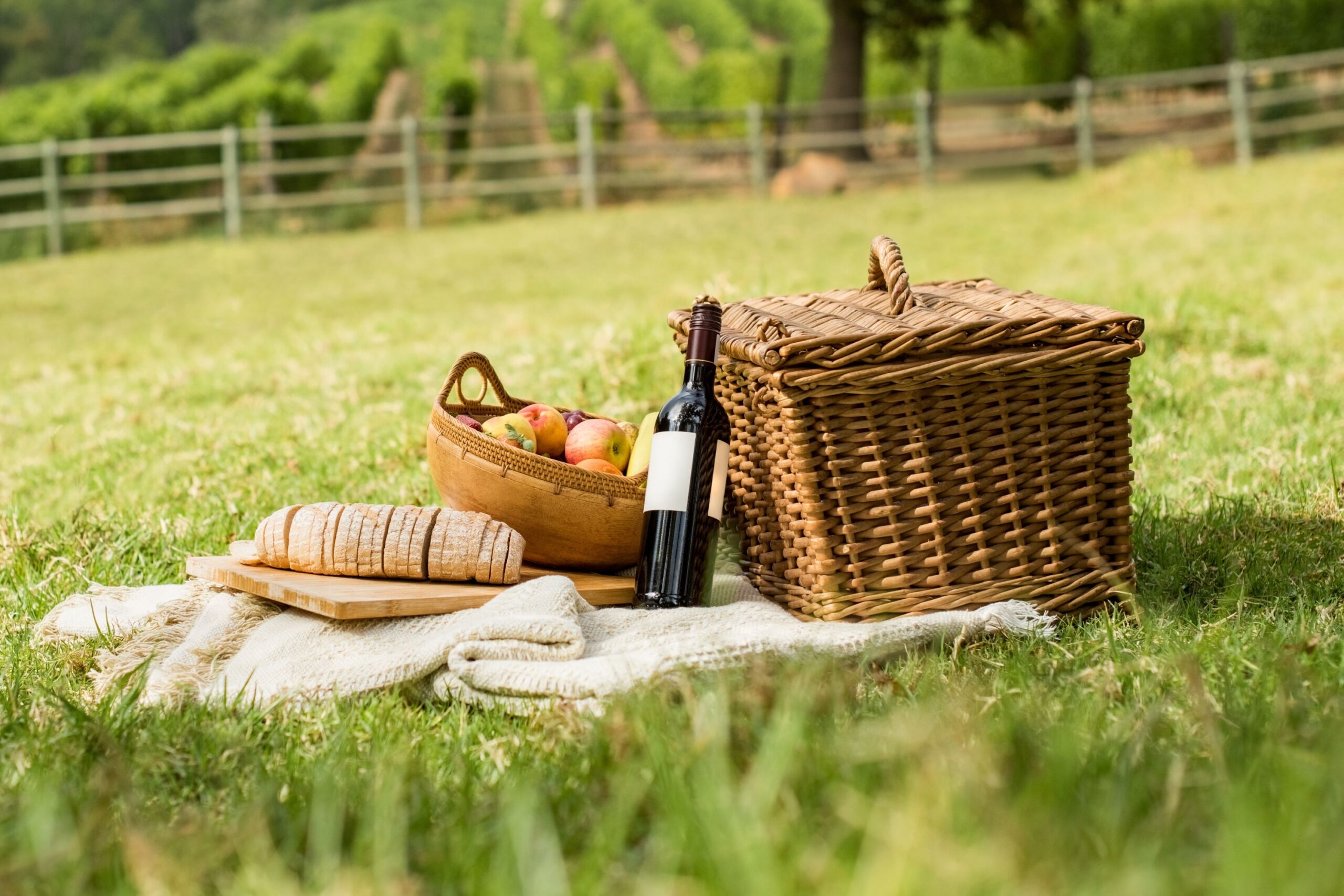 Best Season for a Solo Picnic | Seasonal Guide & Tips